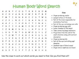 Human Body Word Search | Teaching Resources