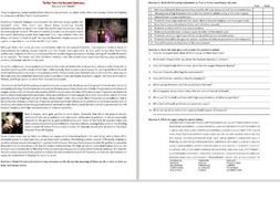 The New Year's Eve Fireworks Controversy - Reading Comprehension ...