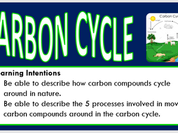Carbon Cycle Powerpoint | Teaching Resources