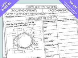 GCSE Biology: The Eye | Teaching Resources