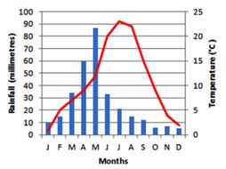 Climate graphs | Teaching Resources