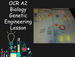 New OCR A2 Biology Genetic Engineering Lesson | Teaching Resources