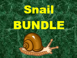 Caracol (Snail in Spanish) Basics Bundle | Teaching Resources