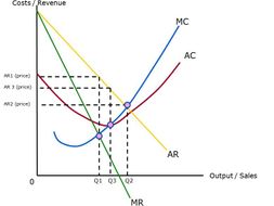 Diminishing returns, cost and revenues, efficiencies, growth of firms ...