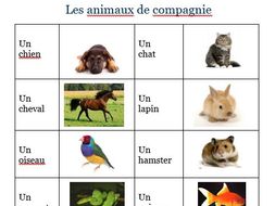 Exercise sheet - Pets - Les animaux de compagnie | Teaching Resources