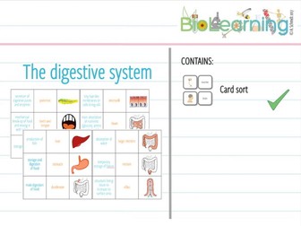 Digestive system - PPT / WS / Loop Game/ Card sort / Crossword - 5 ...