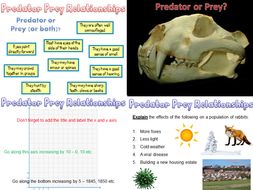AQA Biology 2016 - Predator Prey Cycles | Teaching Resources