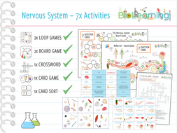 Nervous system - 7x Games and Activities (KS3/KS4) by anjacschmidt ...