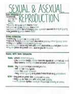 Reproduction (Genetics and Evolution) Revision Poster [AQA GCSE Biology ...