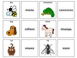 Animals: Russian Vocabulary Card Sort | Teaching Resources