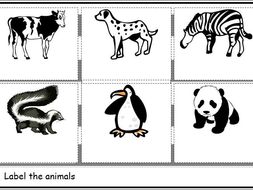 Animals that are Black and White Worksheets | Teaching Resources