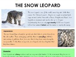 LKS2 - Non-Chronological Report - Model Text - 'Snow Leopards' with ...