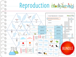 Human Reproduction - 10x Activities and Games (KS3) | Teaching Resources