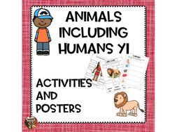 Animals Including Humans Year 1 | Teaching Resources