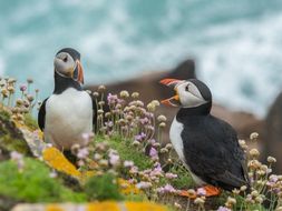 Writing Dialogue: Creative Writing Lesson Plans_15 to 18 years ...