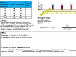 CB6b Photosynthesis core practical | Teaching Resources