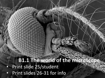 B1 Cell structure and transport bundle (AQA 9-1 GCSE Biology ...