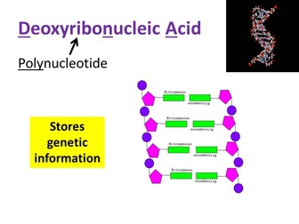 Complete OCR Biology Module 2.1.3 Nucleotides & Nucleic Acids Lessons ...
