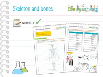 Skeleton and bones - 10x Games and Activities(KS2/KS3) | Teaching Resources