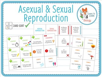 Human Reproduction - 13x Activities and Games (KS3/4) | Teaching Resources