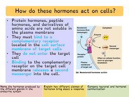 Module 5 Hormonal Communication | Teaching Resources