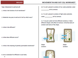 Movement in and out of cell worksheet | Teaching Resources
