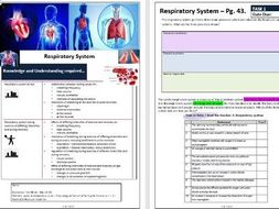 OCR A Level PE - Anatomy and Physiology ILT2 - Respiratory ...
