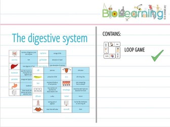 Digestive system - PPT / WS / Loop Game/ Card sort / Crossword - 5 ...