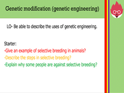 IGCSE Edexcel Biology (9-1) Genetic modification (genetic engineering ...