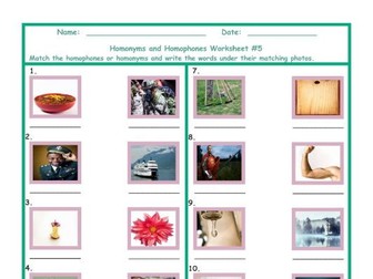 Homonyms-Homophones Worksheet Bundle | Teaching Resources