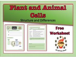 Plant and Animal Cells Structure and Differences Worksheet KS3 ...
