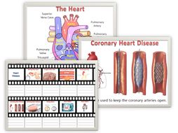 Heart Disease | Teaching Resources