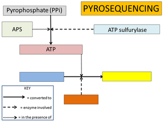 Module 6.3: Manipulating genomes (OCR A-level Biology A) | Teaching ...
