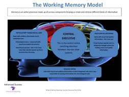 Poster - Memory - The Working Memory Model | Teaching Resources