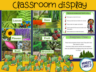 Science Classroom Displays KS1 | Teaching Resources