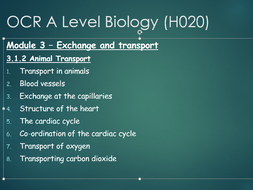 OCR A level Biology Module 3 - Transport in animals topic | Teaching ...