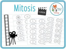 Mitosis - Flip Book (KS4/5) | Teaching Resources