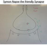 Synaptic Transmission worksheet | Teaching Resources