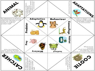 Animal Adaptation Huge Bundle - PowerPoint, Activities, Investigations ...