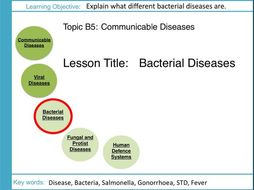 AQA GCSE: B5 Communicable Diseases: L3 Bacterial Diseases | Teaching ...