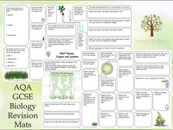 Home Learning Revision - Plant Tissues, Organs and Systems - AQA GCSE ...