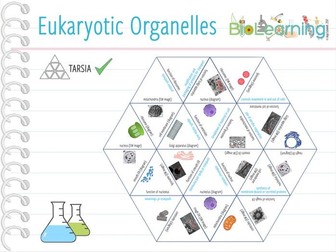 A-level Biology - 8x Tarsia Games (KS5) | Teaching Resources