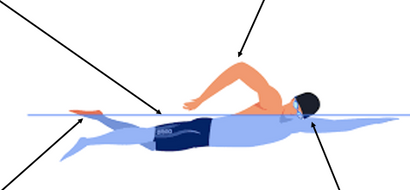 Front Crawl Teaching Card - Swimming | Teaching Resources