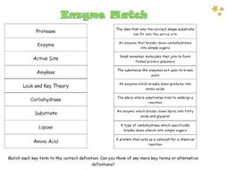 Enzyme Match | Teaching Resources