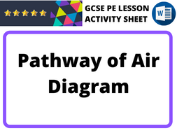 GCSE PE - Pathway of Air Diagram | Teaching Resources