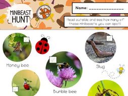 Minibeast Hunt | Teaching Resources
