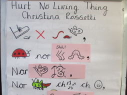 Hurt No Living Thing Unit of Work | Teaching Resources