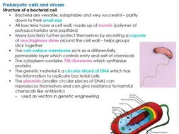 AQA A Level PROKARYOTIC CELLS AND VIRUSES Biology Notes for NEW A LEVEL ...