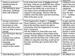 Year 5/6 full lessons plans for English - Skellig | Teaching Resources