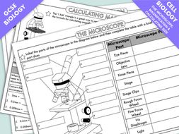 GCSE Biology: The Microscope and Calculating Magnification | Teaching ...